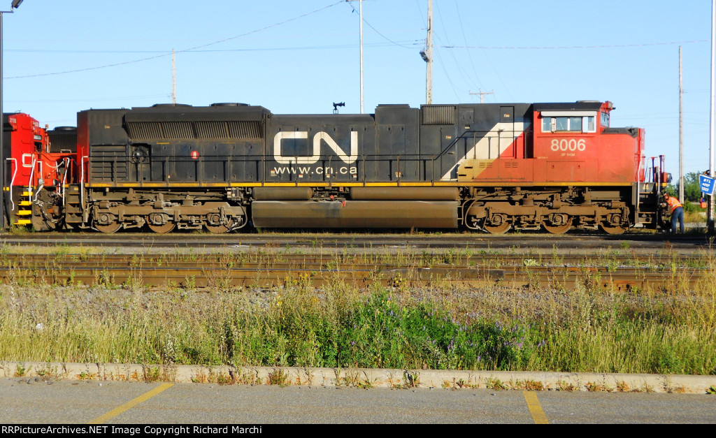 CN 8006